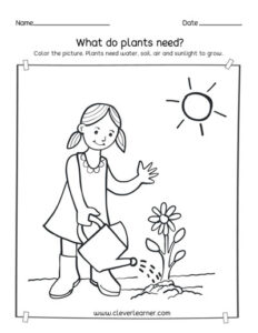 Plant Needs – CleverLearner Preschool Resources