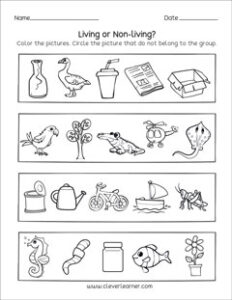 Kindergarten Living and Non-living things Activities – CleverLearner ...