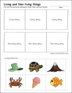 Kindergarten Living and Non-living things Activities – CleverLearner ...